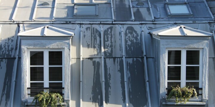 Toiture : quels sont les grands types de lucarnes de toit ? | BigMat